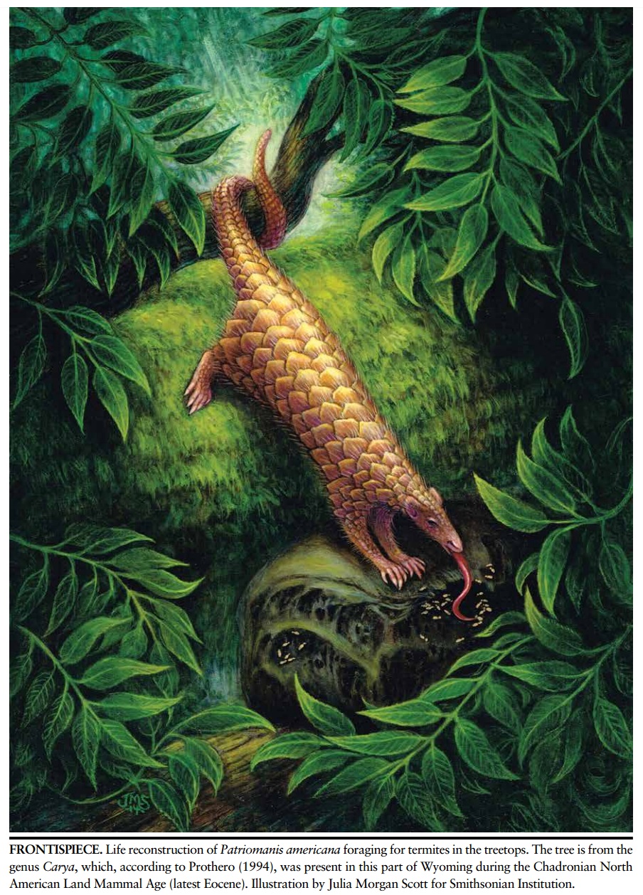 Species New to Science: [PaleoMammalogy • 2016] Skeletal Anatomy of the ...