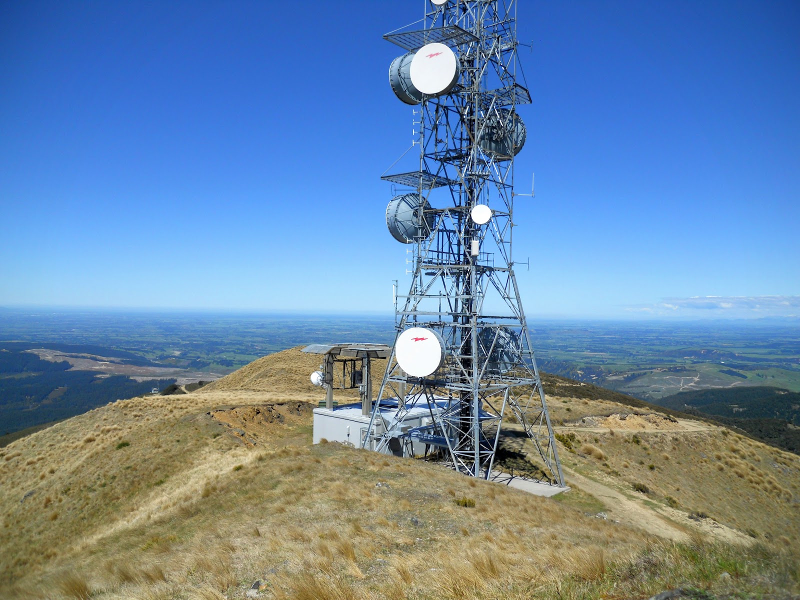 Tramping in the New Zealand backcountry: NZ Bush Adventures: Mt Grey ...
