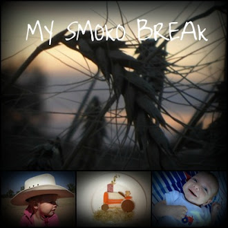 my smoko break: Back on Track
