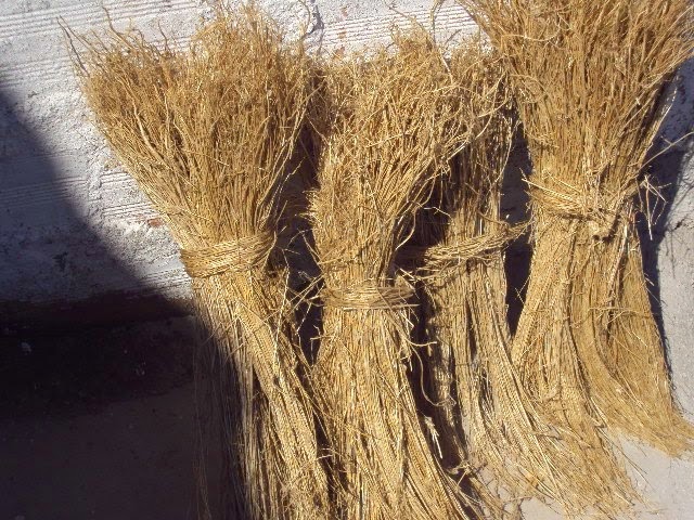 Coysas e Loysas sobre Ansião : A arte do linho desde o cultivo ao fiar