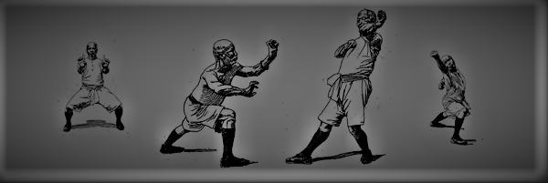 Fu Hok Seung Ying Kuen 鶴 鶴 雙 形 拳 Η φόρμα της Τίγρη και του Γερανού