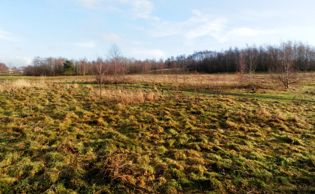 My Daily Walk: Fallin Railway and Bing