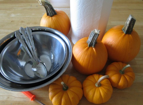 The Unlikely Homeschool: Fall Pumpkin STEM Project