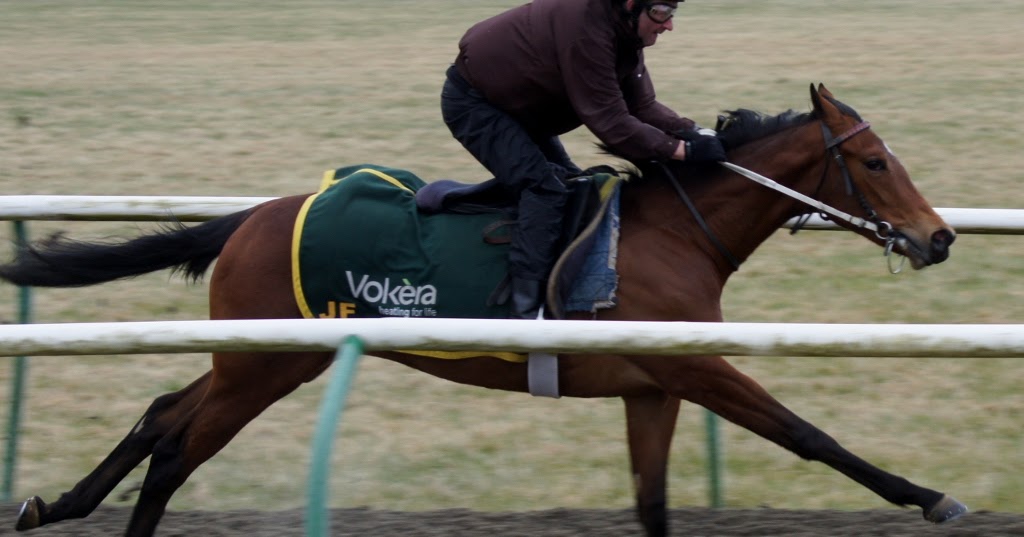 Julia Feilden Racing: Getting spoilt!