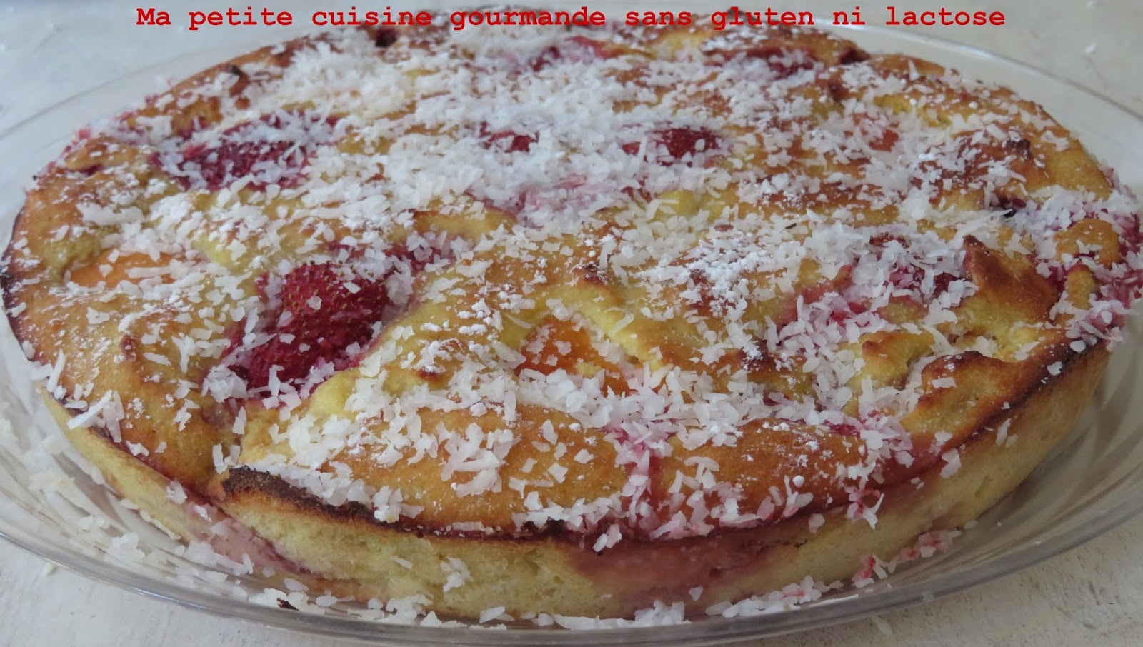 Moelleux à la noix de coco et aux fruits sans gluten ni lactose - Ma ...