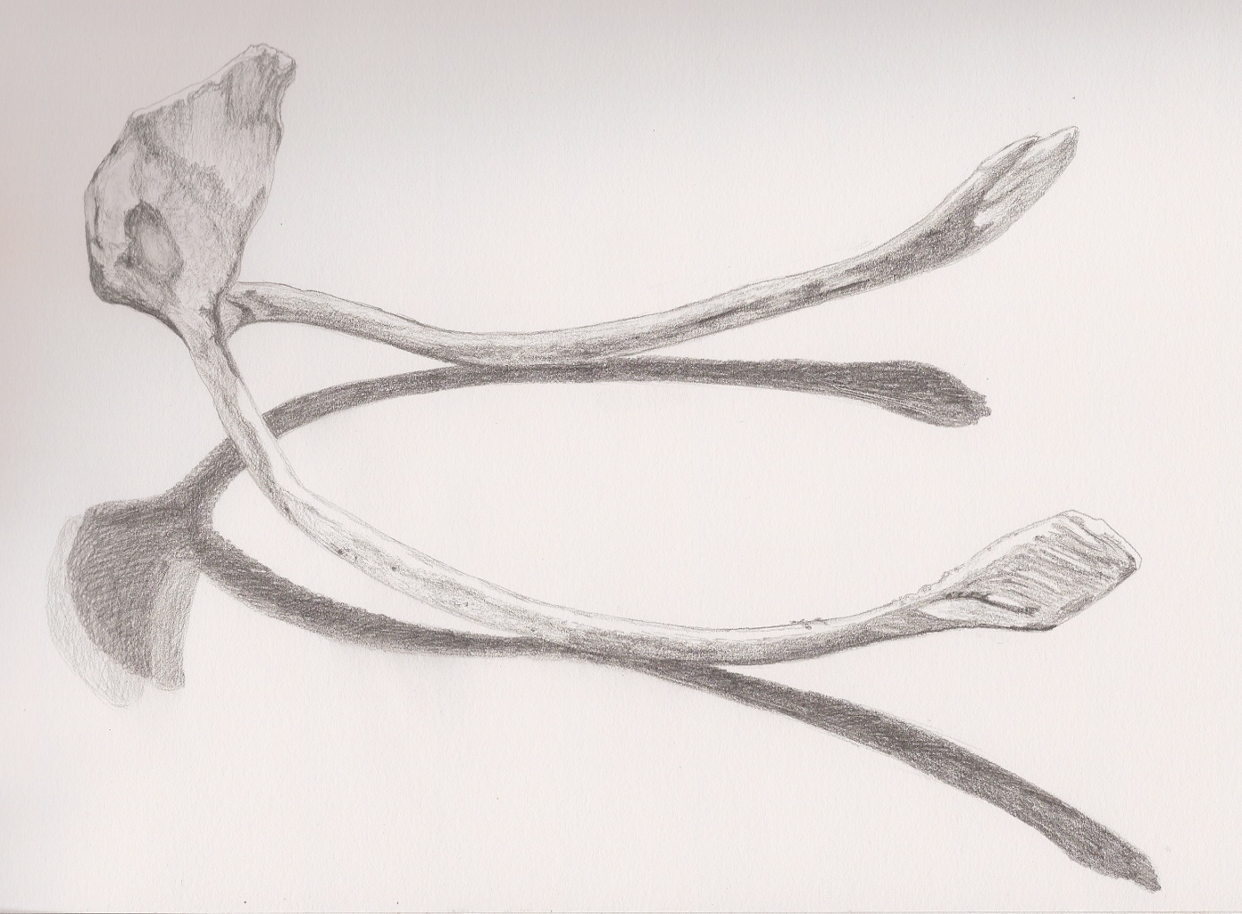 Sketch A Day 2011: December 31, 2011 NEW YEAR'S DAY