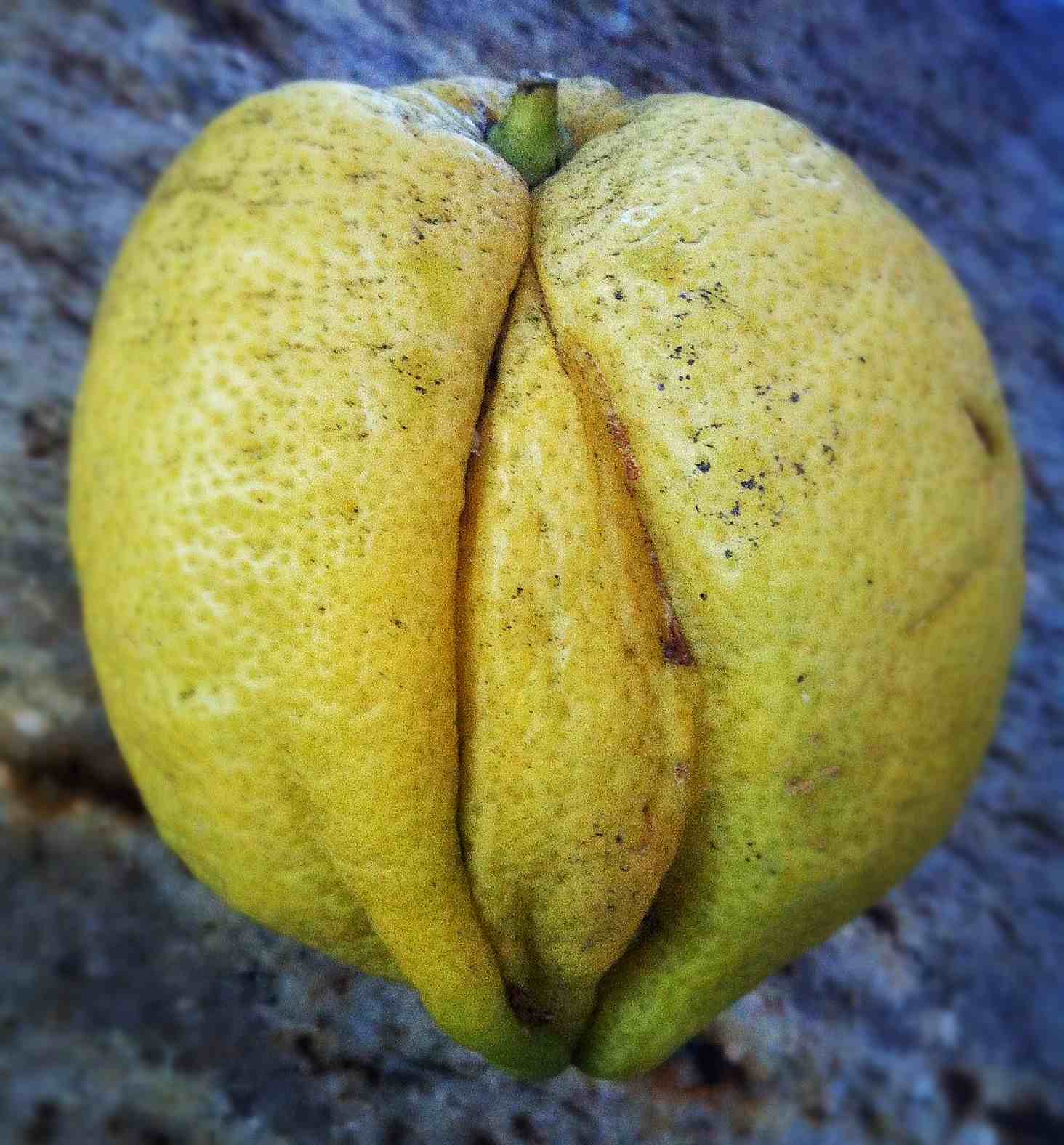 Rowley's Whiskey Forge: The Price of (Citrus) Perfection