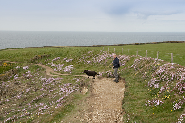 100 Mile Adventure - 2012: Walk 6 - Circular Walk, Mawgan Porth ...
