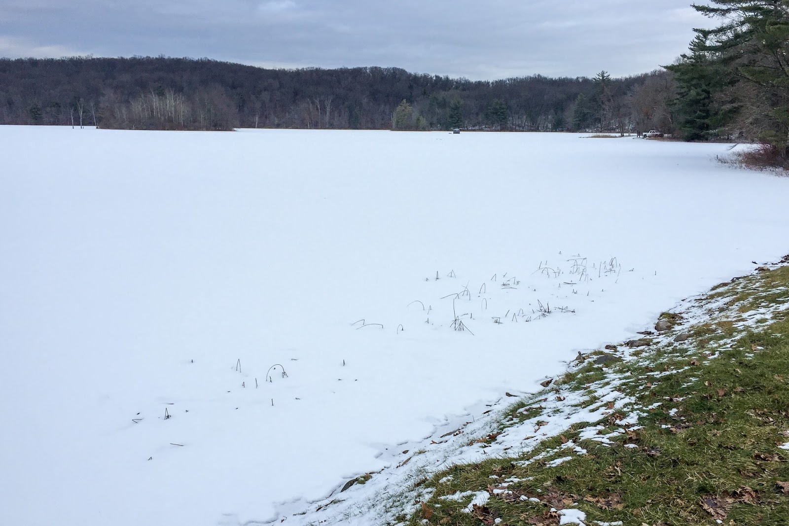 Eric's Hikes: North Country Trail between Middleville and Barry State ...