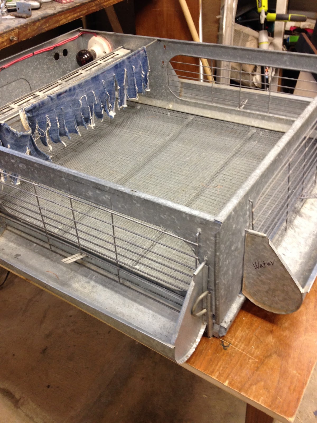 The Edible Garden: March 2017