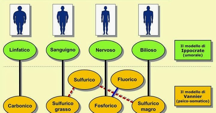 Vox clamantis in deserto: I quattro modelli di Biotipo umano: i Somatotipi