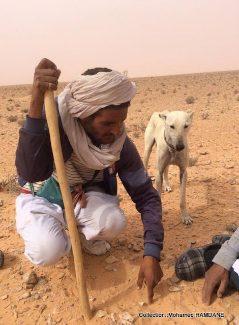 CULTURE et PATRIMOINE DE TUNISIE EN IMAGES- MOHAMED HAMDANE-ثقافة وتراث ...