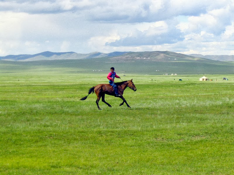 Grassland – Prairies, Steppes and Tropical savannas