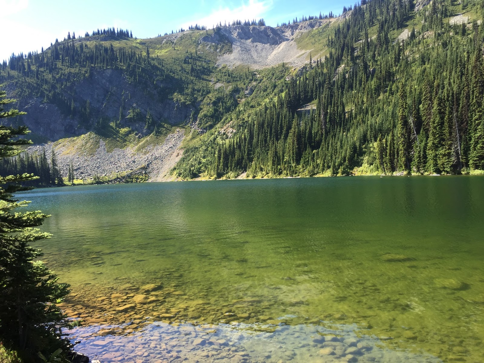 Flying Phalanges: August 2016