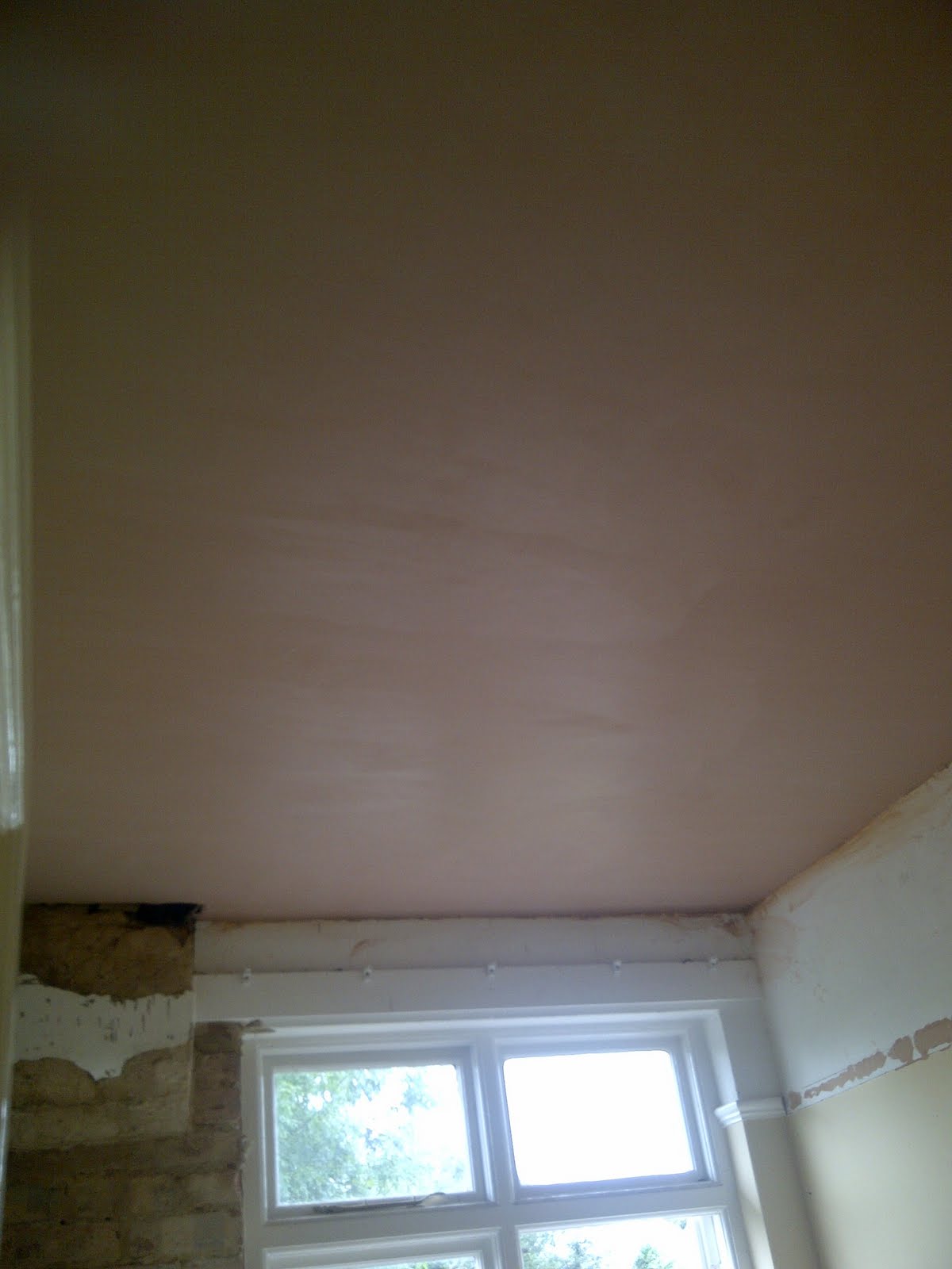 Andy's Ark: Tap and dub, and plaster skim