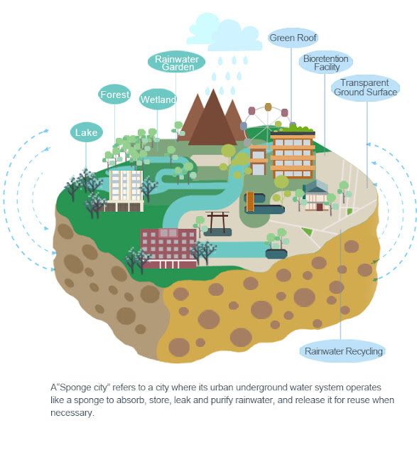 SUSD 0001: The Sponge City