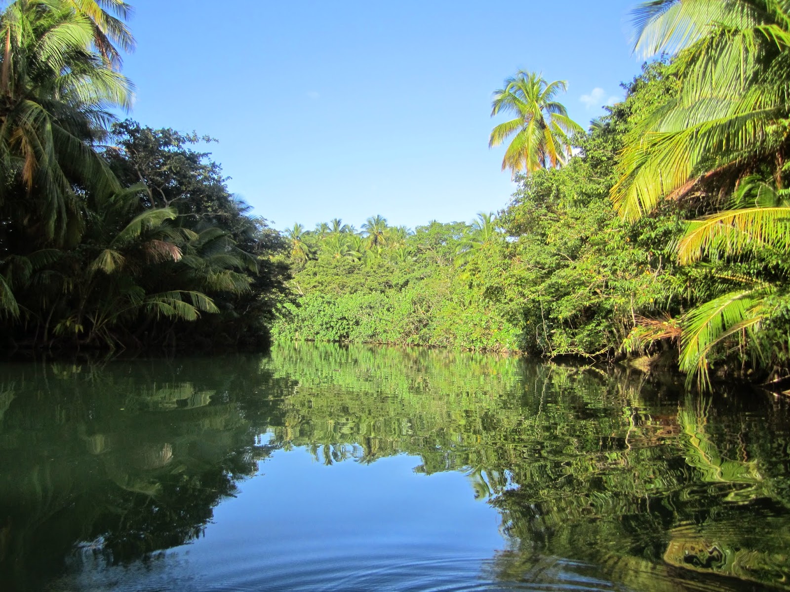 The Adventures of s/v Agave: The Indian River - Dominica