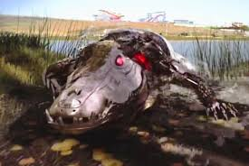 Lisa Mcallister Robocroc