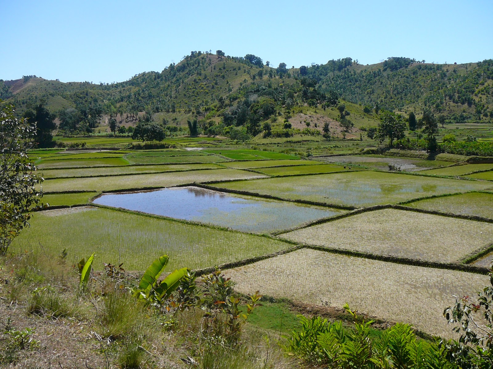 Séjour Madagascar 2013