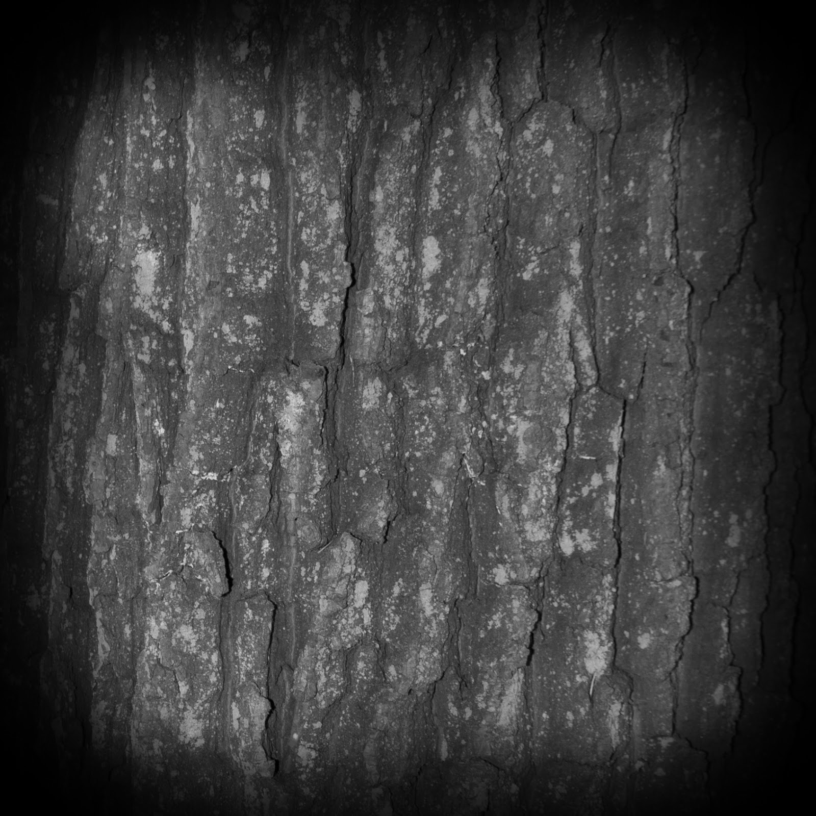 Advanced Skills: Zbrush