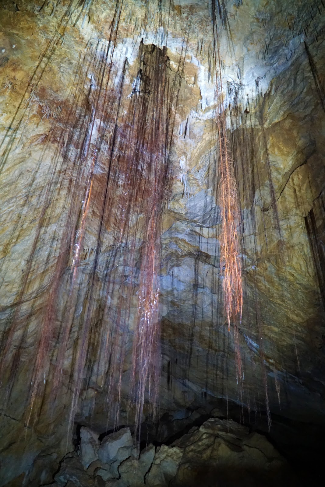 Calgardup Cave (Leeuwin-Naturaliste National Park) ~ The Long Way's Better