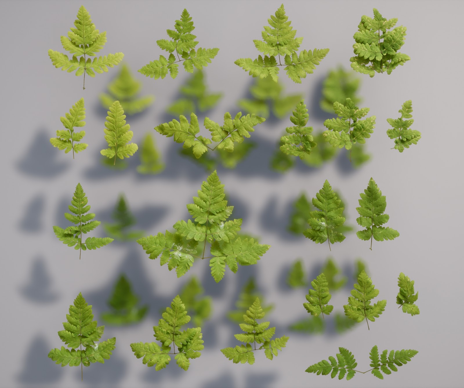 Advancing Real-time Graphics - Ultimate Plant Pack by Rens | Computer ...