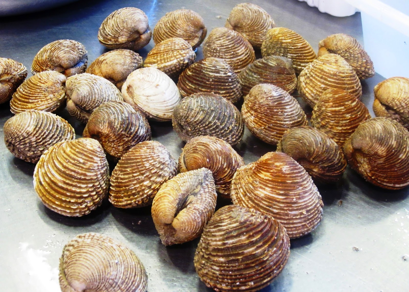 El rincón de Mundín: MARISCOS: EL BERBERECHO Y EL CARNEIRO O ESCUPIÑA