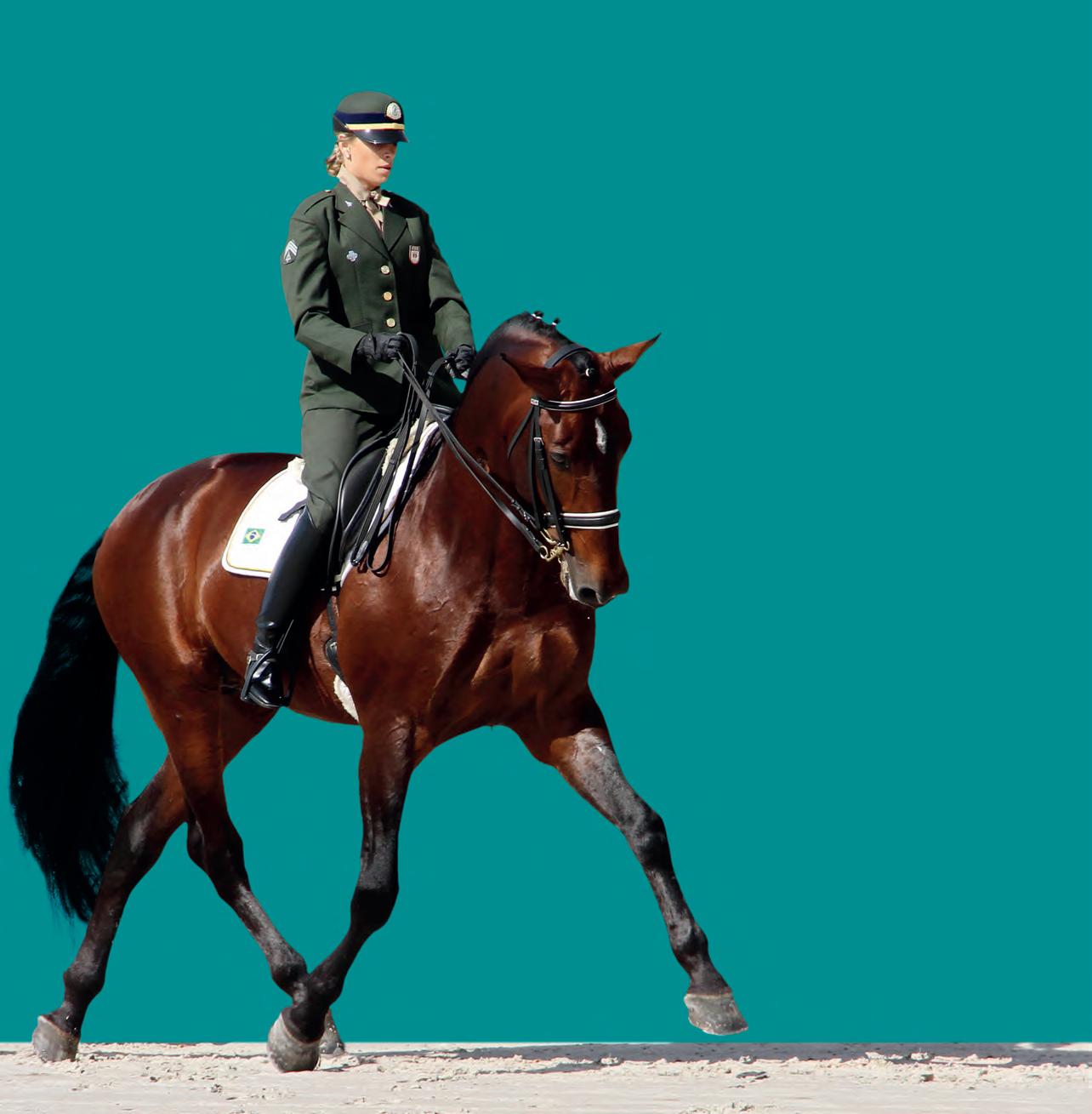 Equoterapia & Equitação Especial: Manual de Equitação da Federação ...