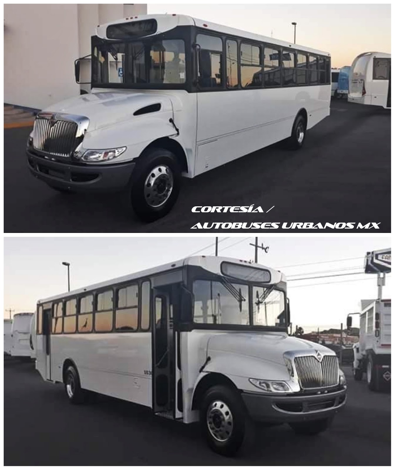 Transporte público, autobuses y microbuses CDMX.: International 3300 CE ...