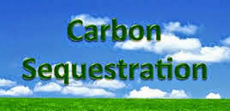 Thoughts to Promote Positive Action...: Carbon Sequestration