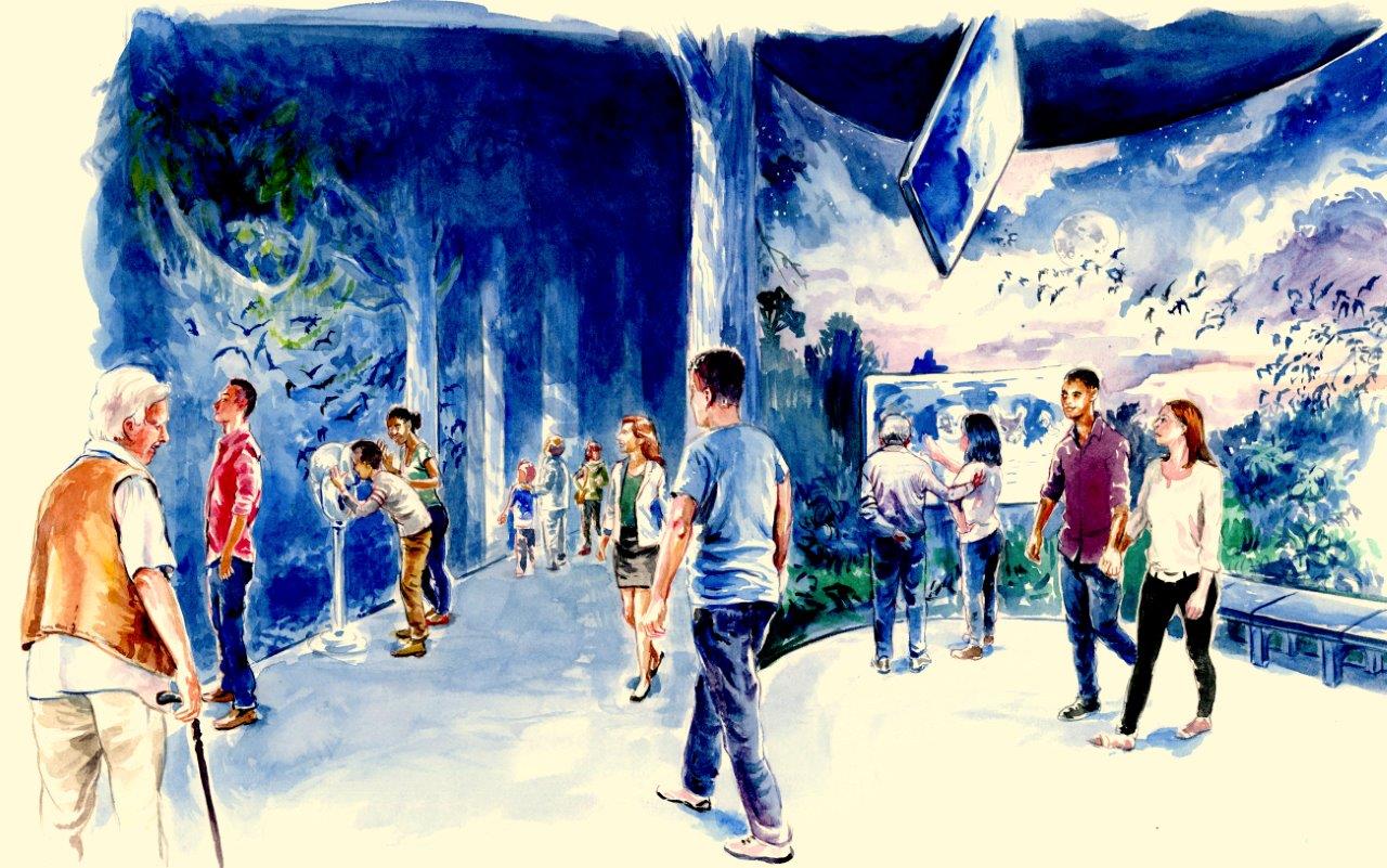 The Night Exhibit rises