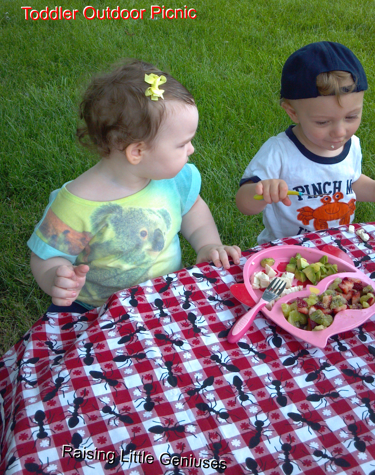 Raising Little Geniuses: Toddler Outdoor Picnic