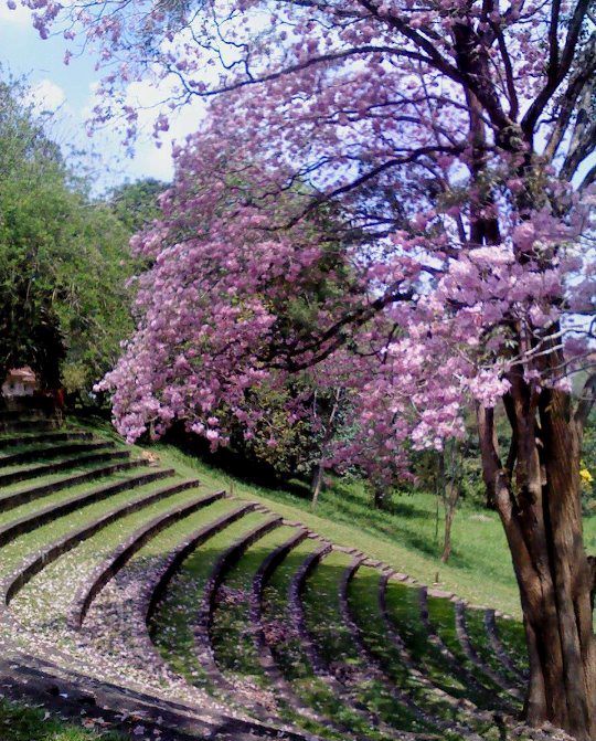 Sri Lanka University News Education Campus School Latest Updates ශ්‍රී ...