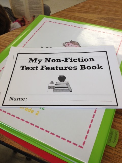 Smiling in Second Grade: Non-Fiction Text Features Book
