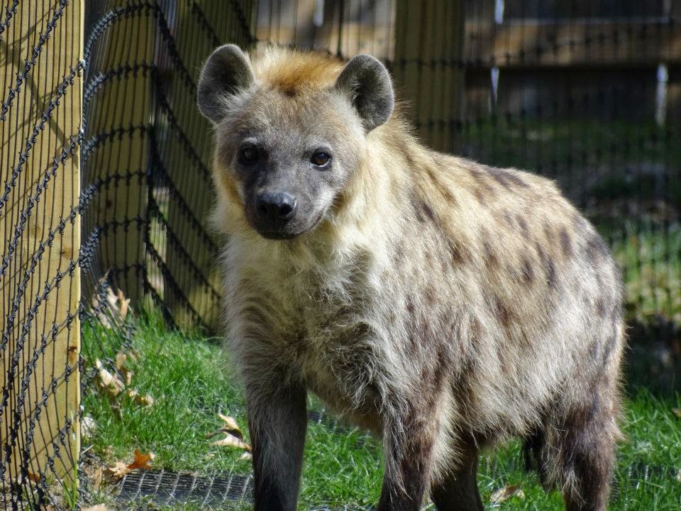 Southwick's Zoo - Southwicks Zoo - World of Zoos