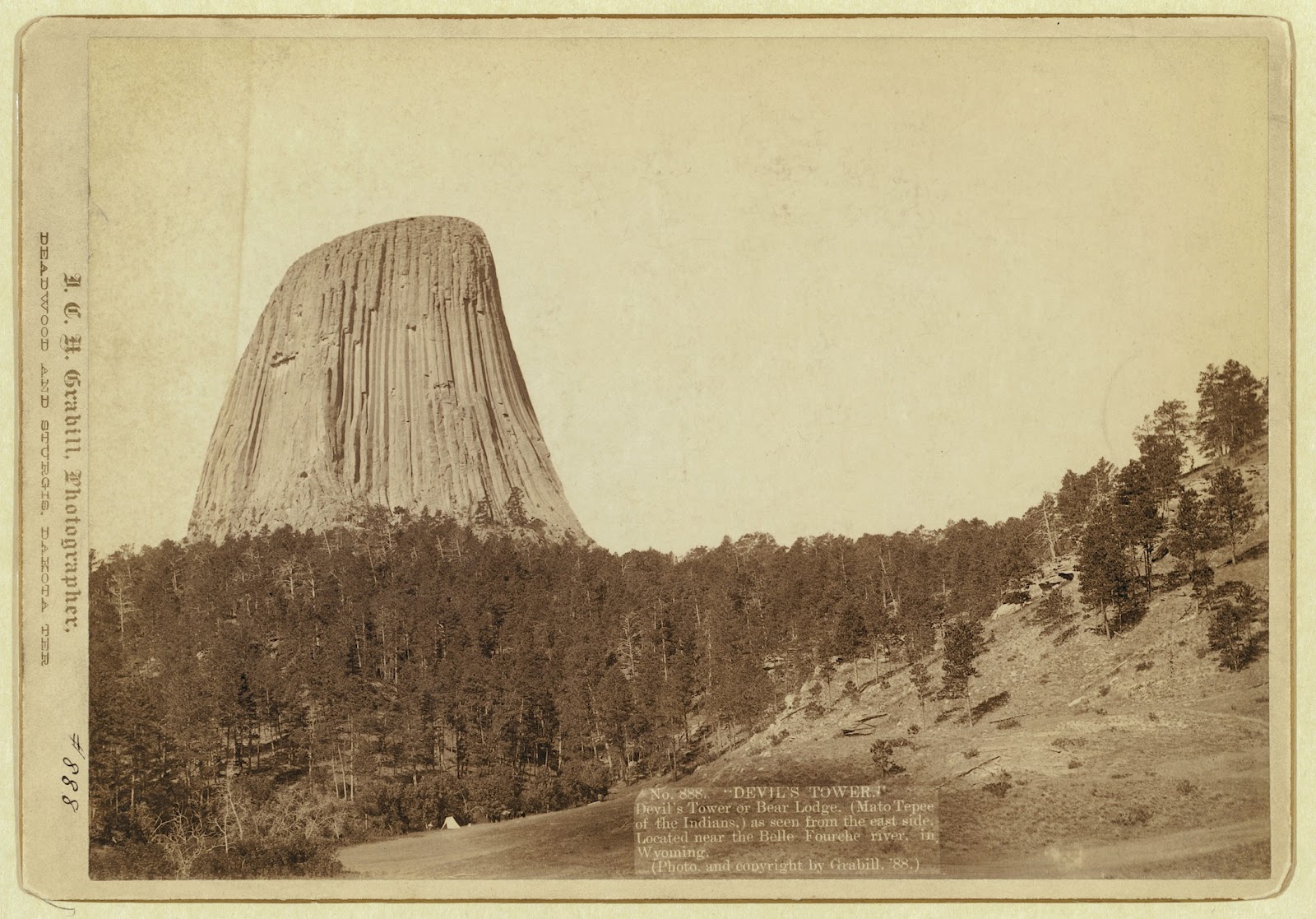 In the Company of Plants and Rocks: Devils Tower -- what’s on top?