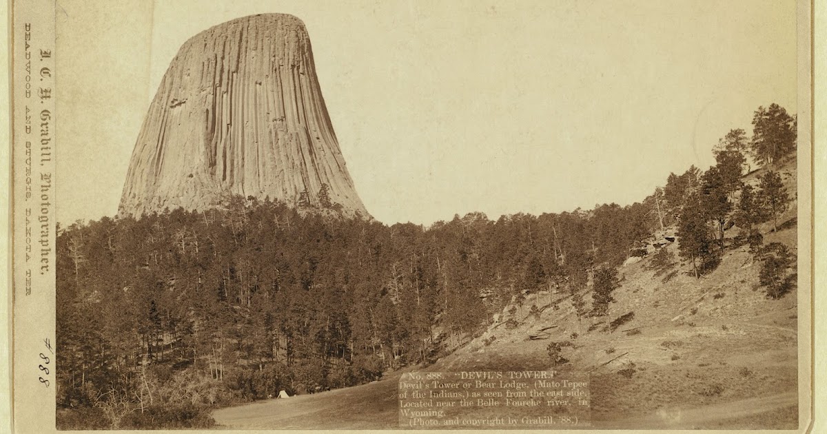 In the Company of Plants and Rocks: Devils Tower -- what’s on top?