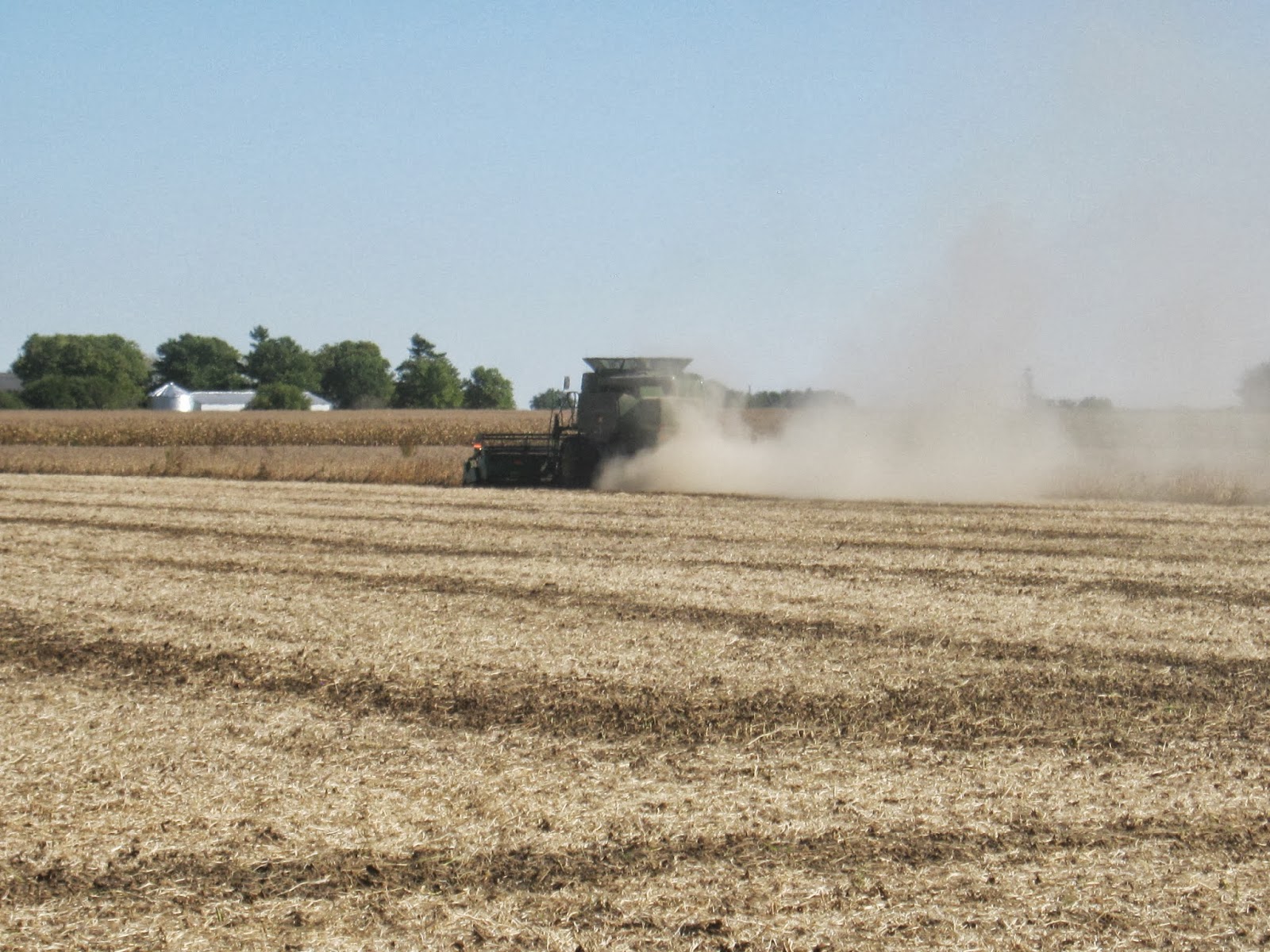 Observations in Agriculture: Dusty Harvest