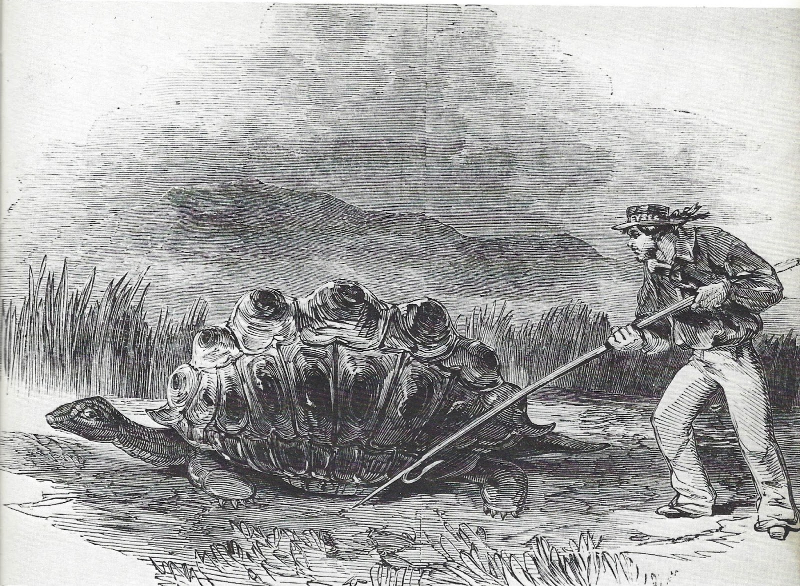 Discovering Darwin: February 2018