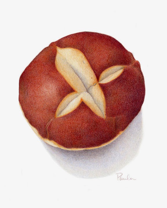 Drawing a Fine Line : Soft Preztel Roll