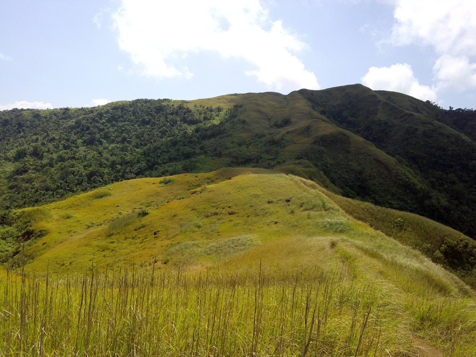 Mt. Sembrano (Day Hike) - Dose of Sunshine