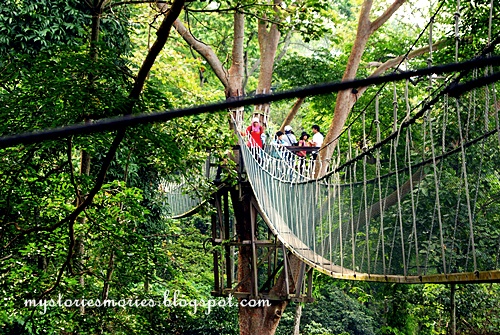FRIM Kepong : Canopy Walkway - .:It's all about my life:.