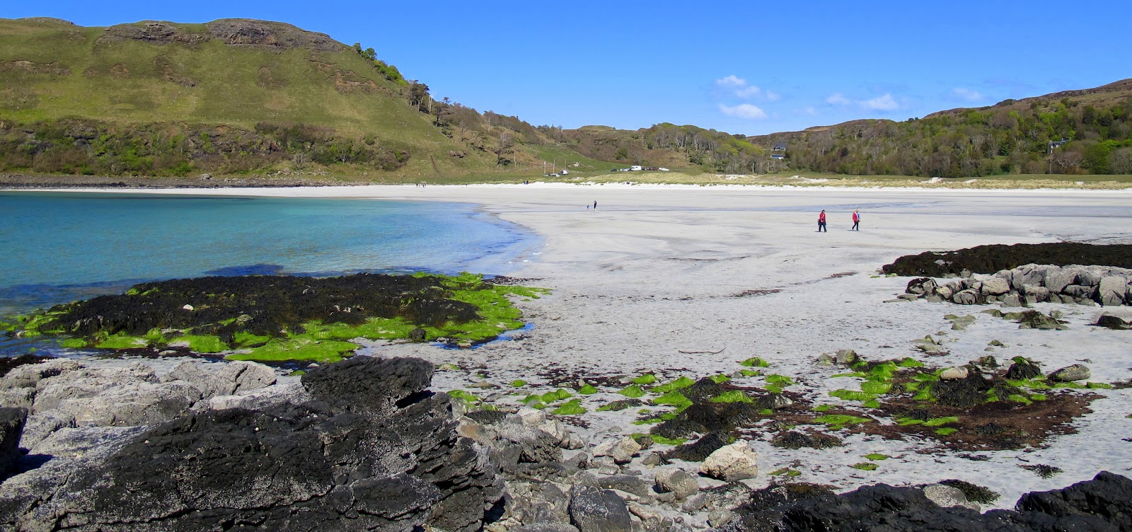 The Adventures of Skooby Blue (and Simon too): Calgary Bay - Isle of Mull