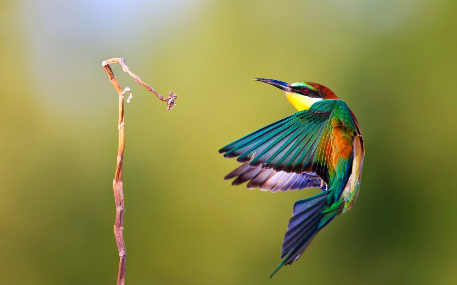 Ana García Photography: 9 Pasos para conseguir Impresionantes ...