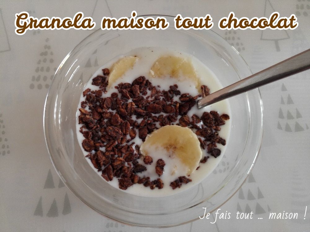 Granola maison au chocolat