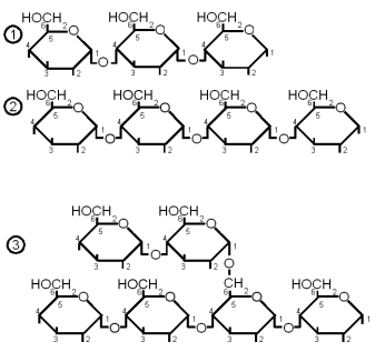 ILMU PANGAN: POLISAKARIDA