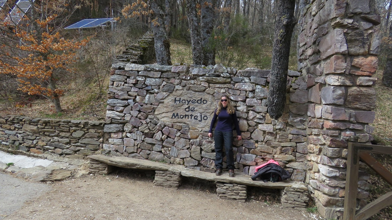 Visitando el Hayedo de Montejo – Una sensación agridulce ...