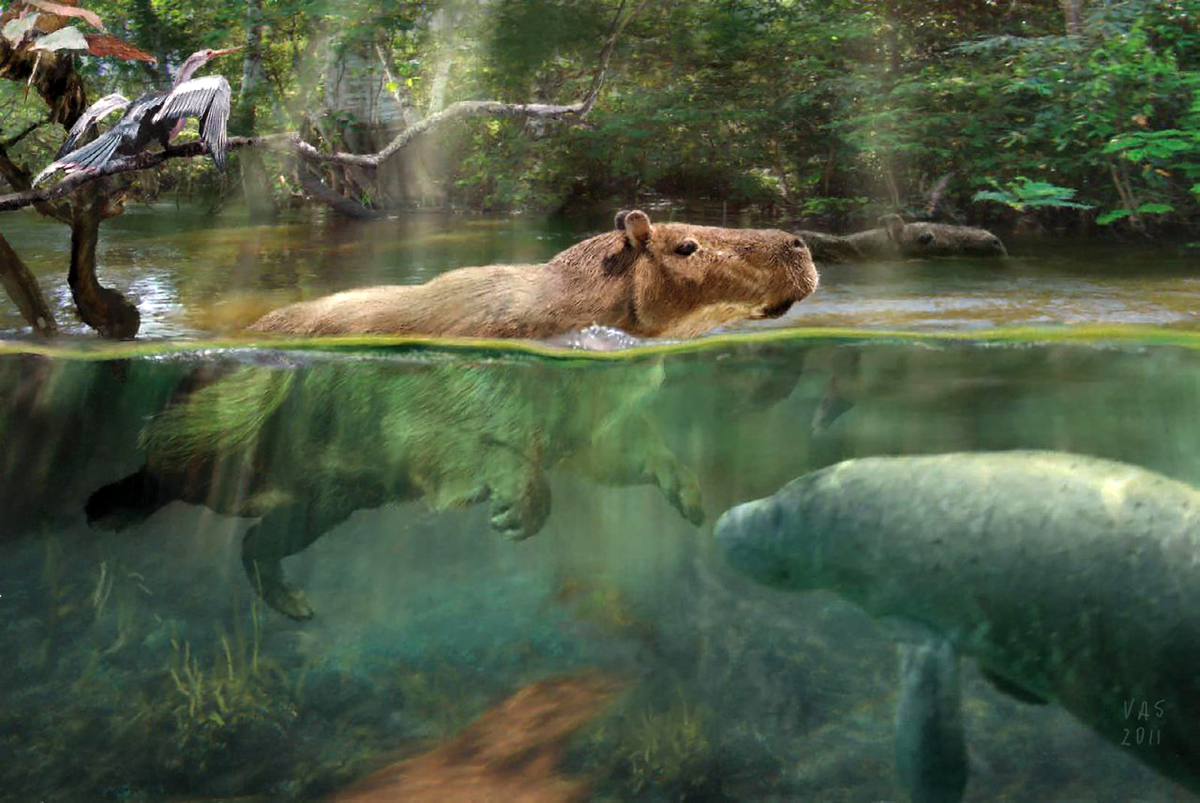 The Magic cafe: Исчезнувшая Южная Америка Велизара Симеоновски. Часть ...