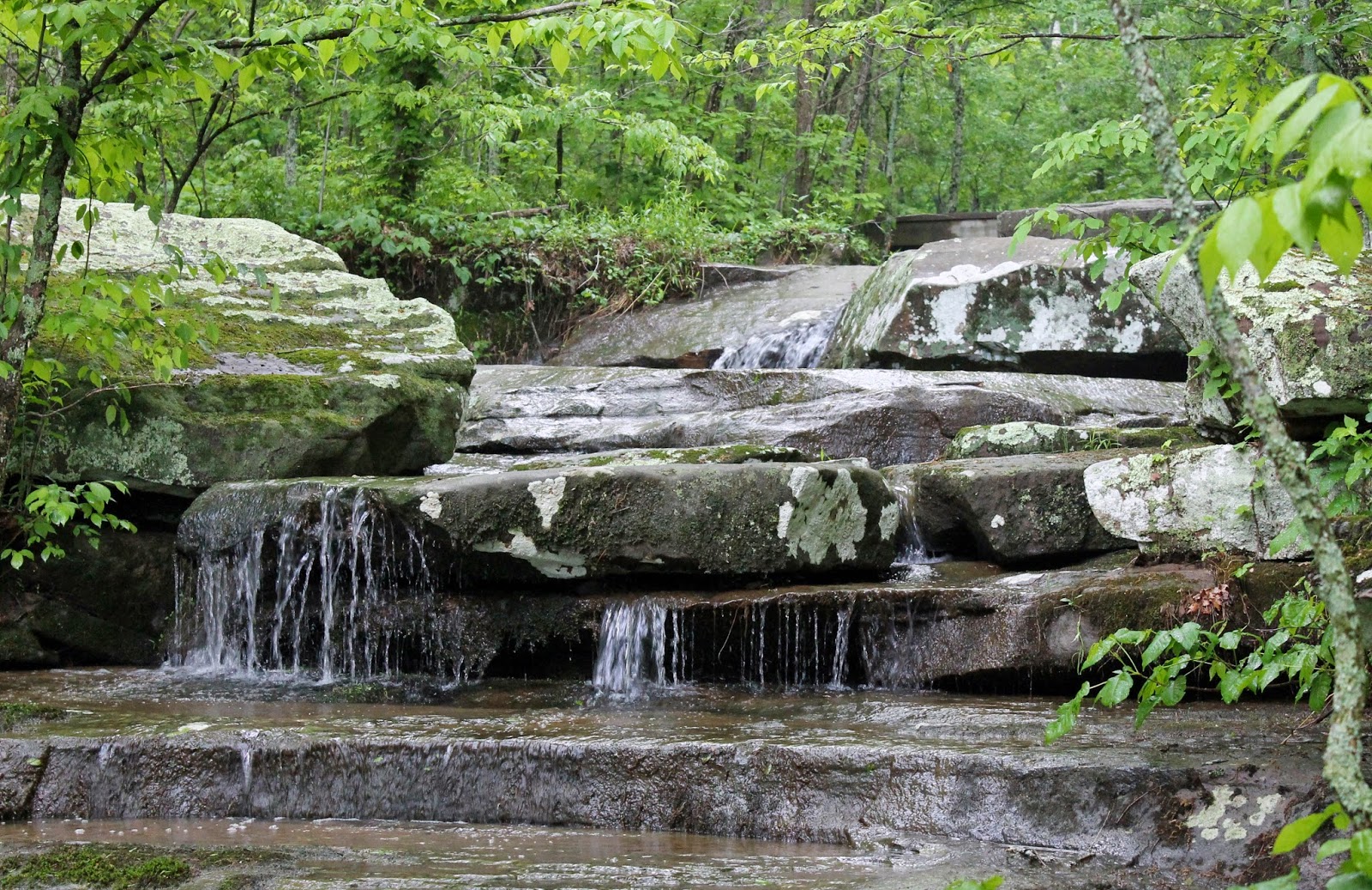 Experiencing Illinois: Rocky Bluff Trail