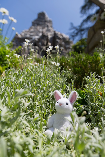 A Quick Trip to Disneyland - Mia Rabbit